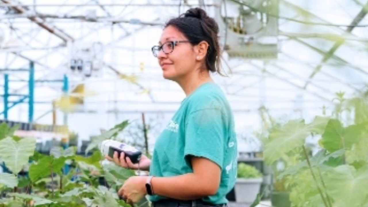 ‘Win-win’: CITRIS Workforce Innovation Program helps UC students turn passion into expertise ...